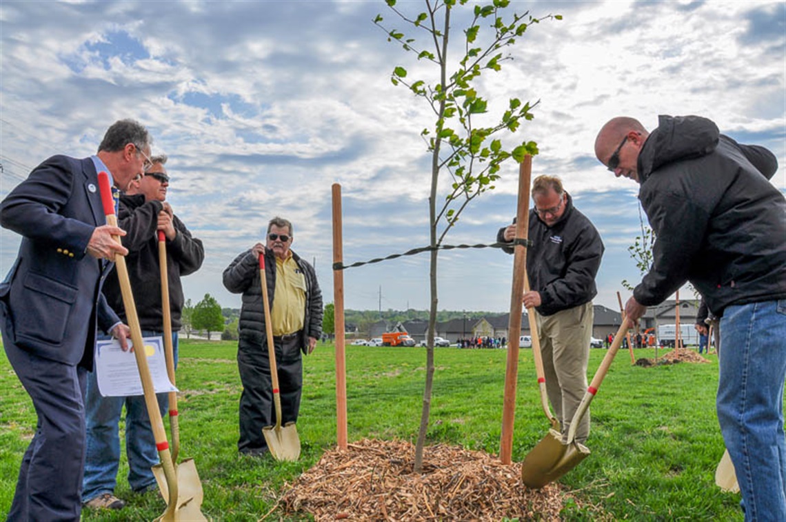 Arbor Day Trees