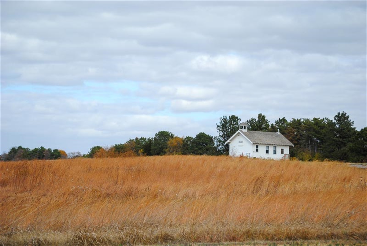 Fall Harvest Seed Collection – City of Lincoln, NE