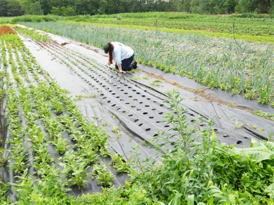 Goals – City of Lincoln, NE